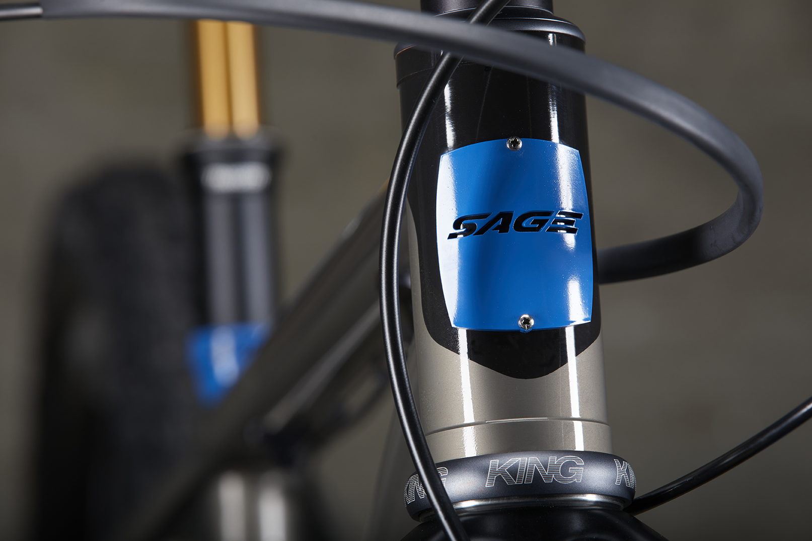 2020 Powerline Show Bike - Sage Titanium Bicycles