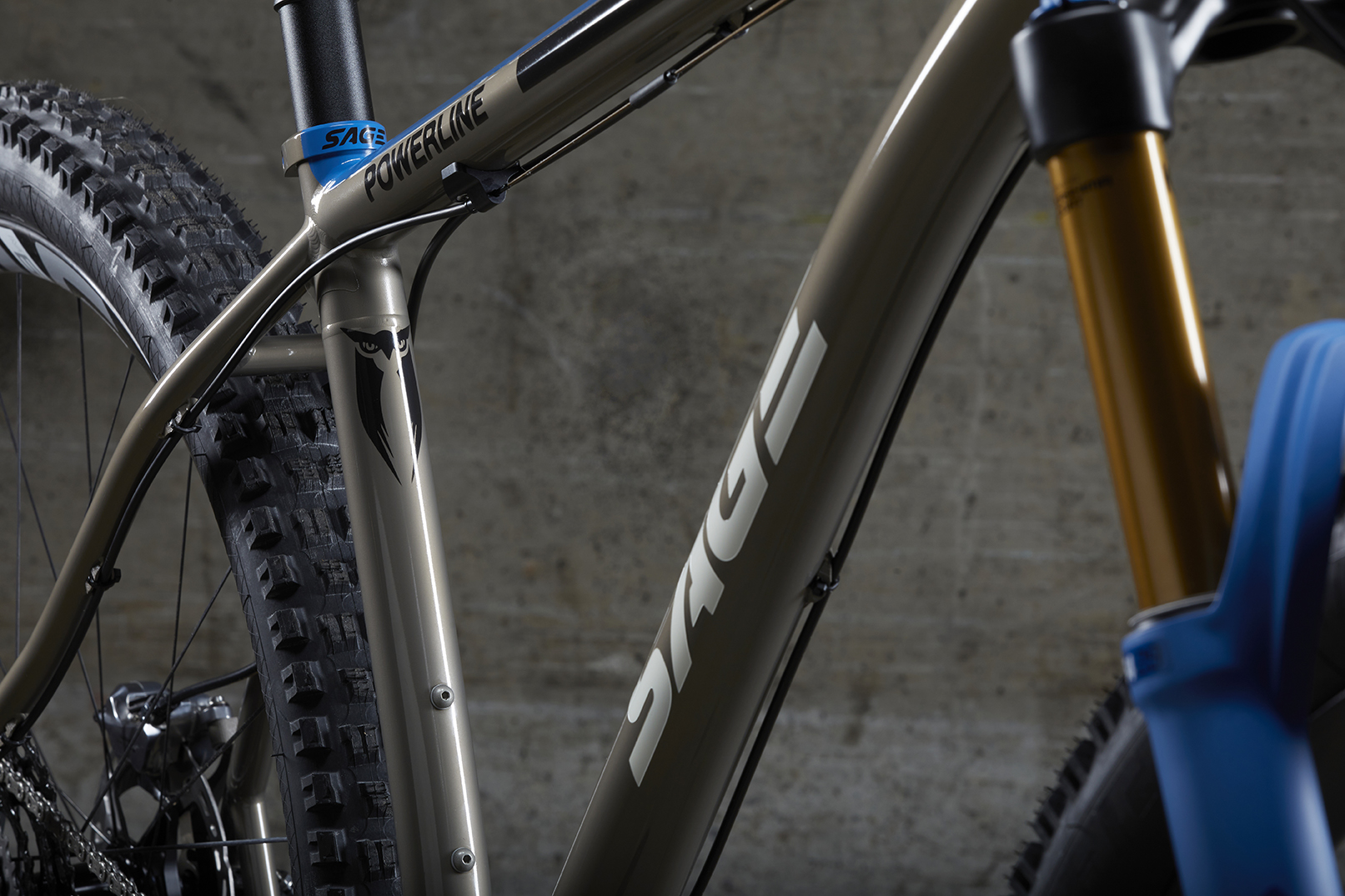 2020 Powerline Show Bike - Sage Titanium Bicycles