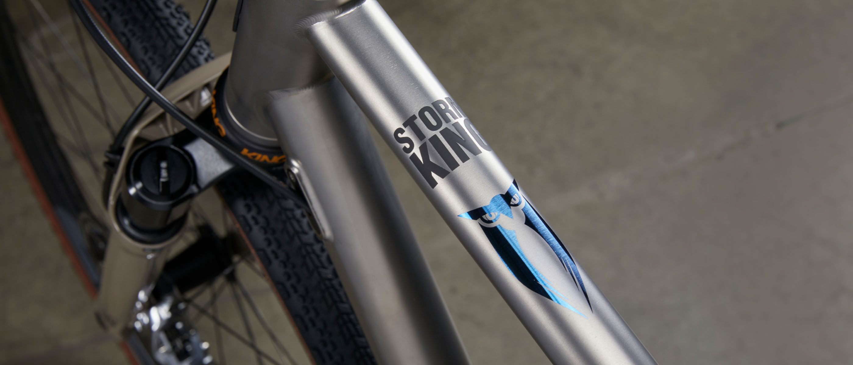Custom Finish - Sage Titanium Bicycles
